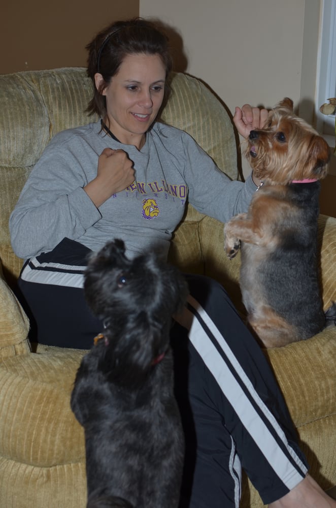 PAMPERED PAWS PET SITTING SERVICES - Updated July 2025 - 45 Hazel Ln ...