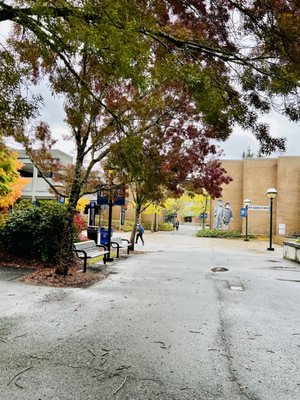 BELLEVUE COLLEGE - Updated June 2025 - 71 Photos & 92 Reviews - 3000 ...