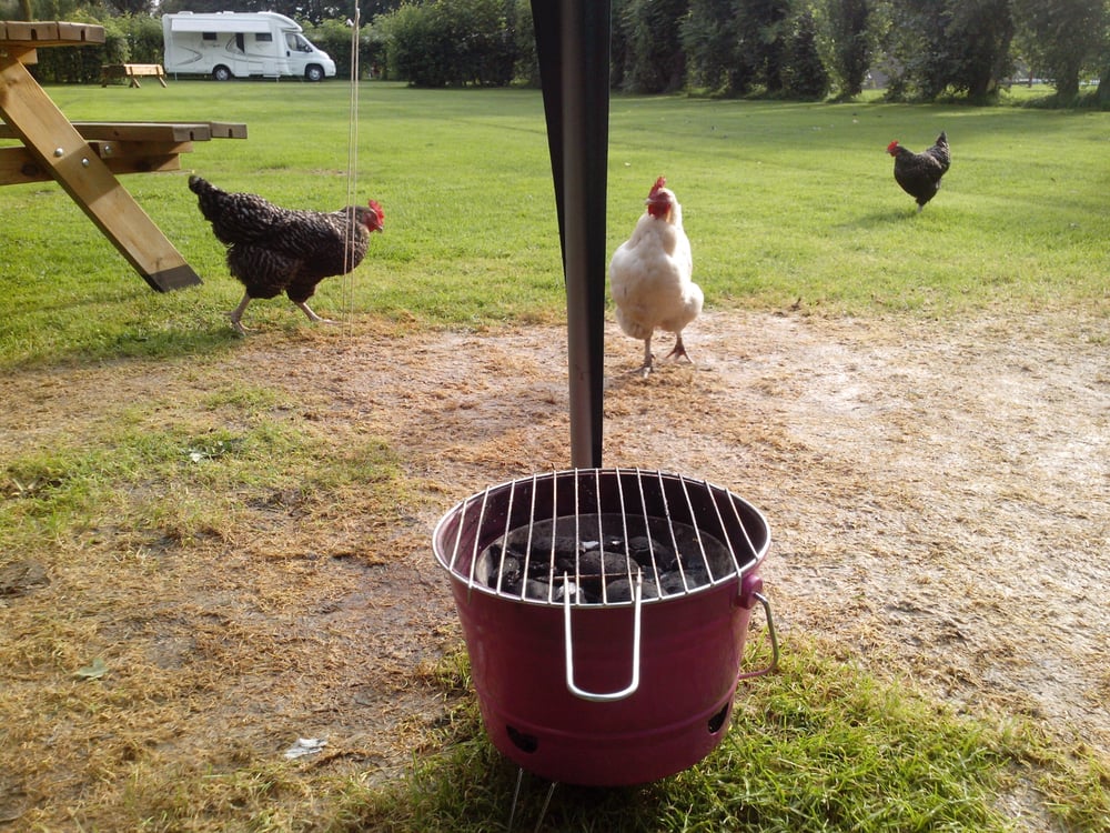 CAMPING DE LINDE - Klein Linde 2, Sibbe, Limburg, The Netherlands ...