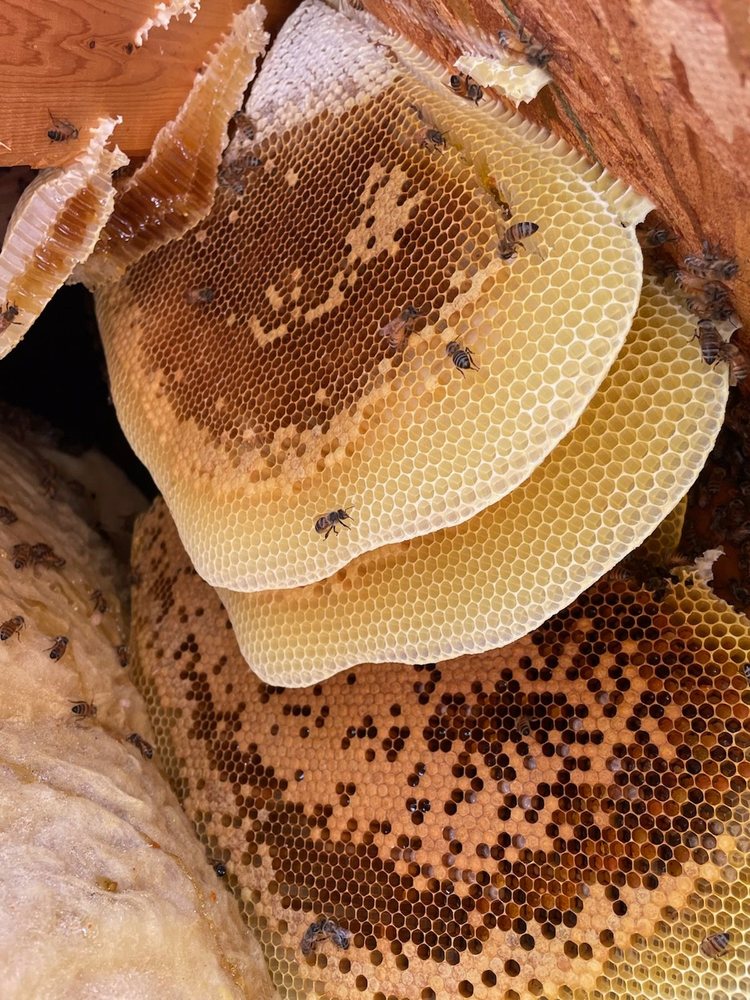 HUNTERS FARM & PRODUCE - Updated July 2025 - 16 Photos - 10195 Guilford ...