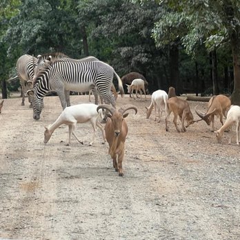 LAZY 5 RANCH - Updated October 2025 - 302 Reviews & 880 Photos - 15100 ...