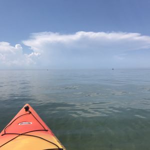 PORT AUSTIN KAYAK AND BIKE RENTAL - 77 Photos & 28 Reviews - 119 E ...