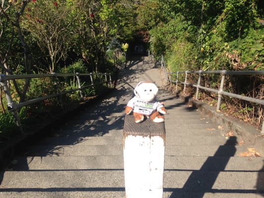 HOWE STREET STAIRS - 25 Photos & 23 Reviews - 810 E Howe St, Seattle ...