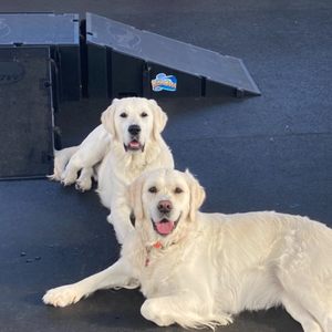 CAMP RUFF HOUSE - Updated June 2025 - 14 Reviews - 3923 88th St NE ...