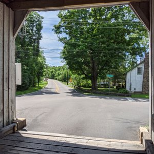 THE DEVIL’S TREE - Updated August 2025 - Mountain Rd, Basking Ridge ...