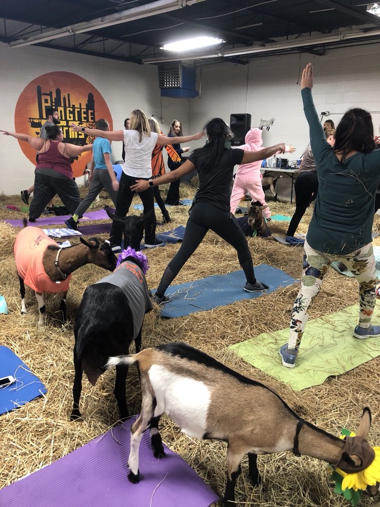 PINGREE FARMS - Updated October 2025 - 26 Photos - 301 E Grixdale ...