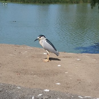 LINDO LAKE COUNTY PARK - Updated June 2024 - 283 Photos & 39 Reviews ...