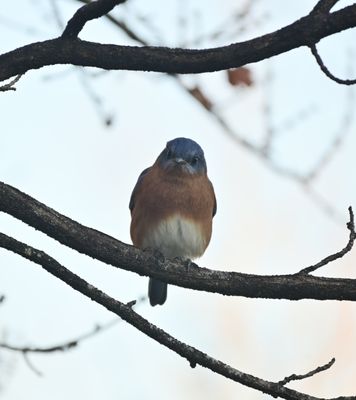 NEUSE RIVER GREENWAY TRAIL - Updated July 2025 - 74 Photos & 26 Reviews ...