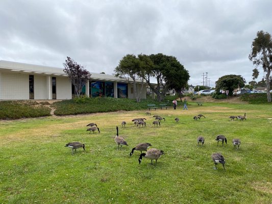 MONTEREY COUNTY FREE LIBRARIES-SEASIDE BRANCH - Updated September 2025 ...