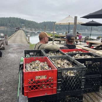WESTCOTT BAY SHELLFISH COMPANY - Updated October 2025 - 378 Photos ...