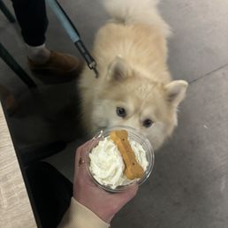 WELLS ROADSIDE - Updated June 2025 - 82 Photos & 64 Reviews - 3712 ...