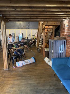 THE BISCUIT FACTORY CAT LOUNGE - Updated December 2025 - 40 Photos & 10 ...