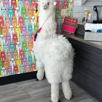 SUGAR LLAMAS - Updated September 2025 - 24 Photos & 19 Reviews - 921 E ...