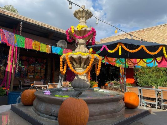ENCANTADA COCINA & CANTINA - Updated January 2026 - 105 Photos & 78 ...
