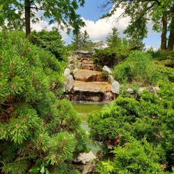 THE 10 BEST Things to Do in Onondaga Castle, NY - 2023 - Yelp