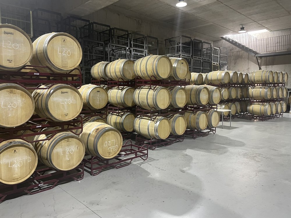 LYNUS VIÑEDOS Y BIDEGAS - Wine Tasting Room - N-122, Quintanilla de ...