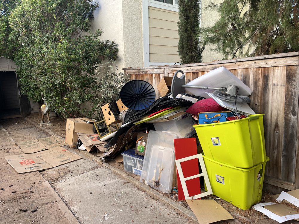 JUNKSTER - Updated September 2024 - 50 Photos & 65 Reviews - 16 ...