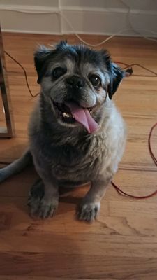 COSMIC DOG OUTPOST - Updated May 2024 - 1 Broad St, Rome, Georgia ...