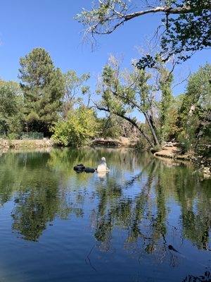 ST ANDREW’S ABBEY - Updated June 2025 - 123 Photos & 28 Reviews - 31001 ...