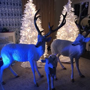 THE TORONTO CONGRESS CENTRE - Updated February 2025 - 125 Photos & 14 ...