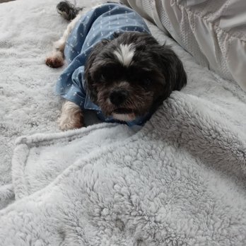 SPCA FLORIDA - Updated June 2024 - 83 Photos & 48 Reviews - 5850 ...