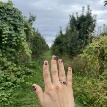 WINDY HILL ORCHARD - Updated October 2025 - 53 Photos & 14 Reviews ...