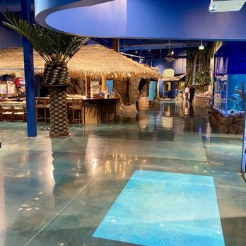 BLUE ZOO AQUARIUM DES MOINES - Updated May 2026 - 78 Photos & 12 ...
