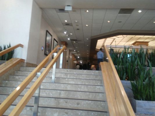 WATCHTOWER FARMS - Updated October 2024 - 24 Photos - 900 Red Mills Rd ...