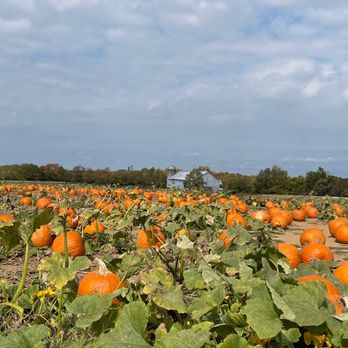 EVANS ORCHARD & CIDER MILL - Updated August 2024 - 282 Photos & 77 ...