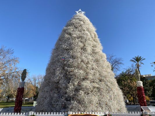 TUMBLEWEED CHRISTMAS TREE - Updated January 2025 - 15 Photos - 3 S ...