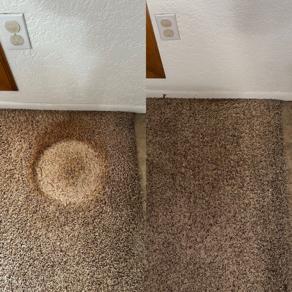 TRUE CLEAN - Updated April 2025 - Thatcher, Arizona - Office Cleaning ...