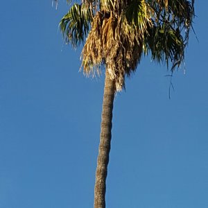 SCOTT MANAGEMENT COMPANY - Updated January 2026 - 77 Reviews - 3820 Del ...