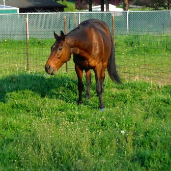 SHOOTING STAR RANCH - Updated September 2025 - 14 Photos - 17880 SE ...