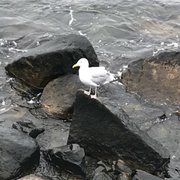 NIANTIC BAY BOARDWALK - 94 Photos & 10 Reviews - 30 Main St, Niantic ...