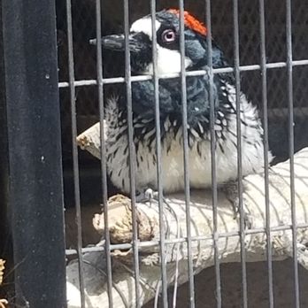 CALM ZOO - Updated September 2024 - 464 Photos & 160 Reviews - 10500 ...