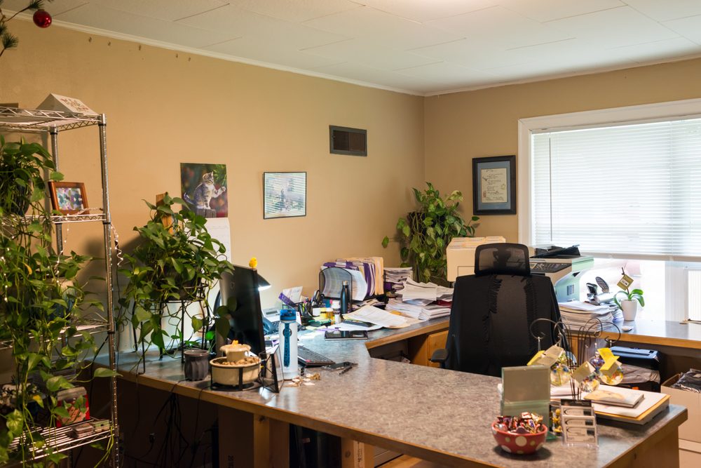 BRIDGER PROPERTY MANAGEMENT - Updated December 2025 - 13 Photos - 2025 ...