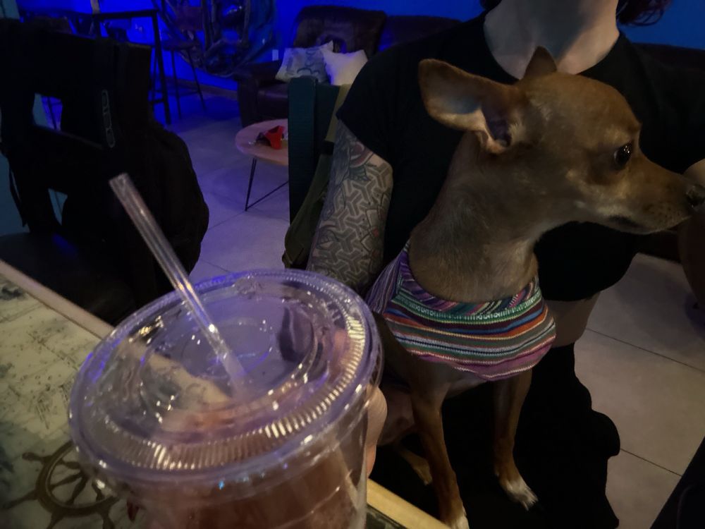 ISLAND VIBES KAVA BAR POMPANO BEACH - Updated December 2025 - 21 Photos ...