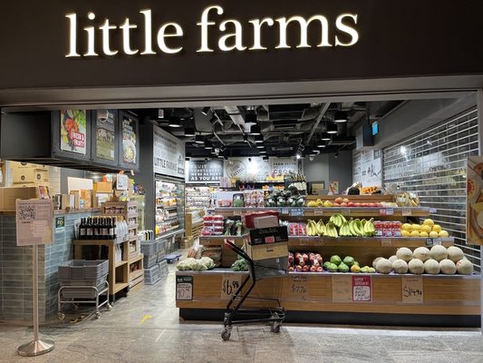 LITTLE FARMS - Updated July 2024 - 7 Wallich St, Singapore, Singapore ...