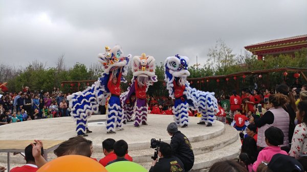 LUCKY LAND - 395 Photos & 36 Reviews - Cultural Center - 8625 Airline ...