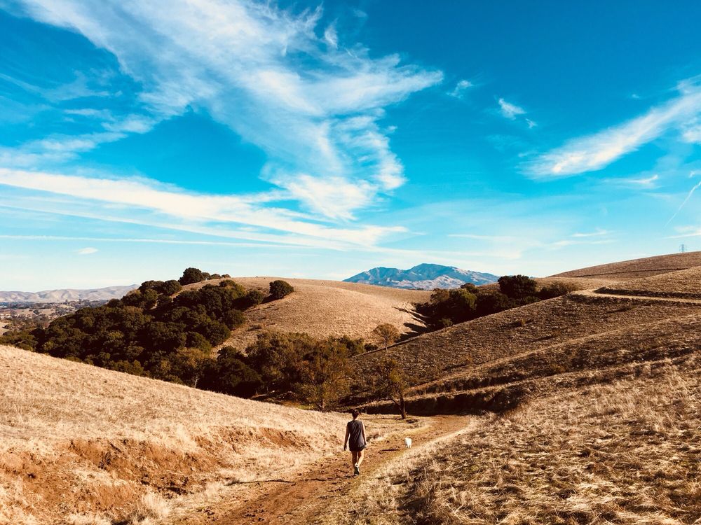 HULET HORNBECK TRAIL - Updated May 2025 - 72 Photos - 1 Carquinez ...