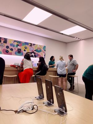APPLE SHADYSIDE - Updated January 2026 - 19 Photos & 133 Reviews - 5436 ...