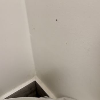 SONDER SOLARENA - Updated January 2025 - 39 Photos & 21 Reviews - 6208 ...