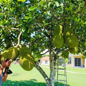 EVER AFTER FARMS - Updated August 2025 - Request a Quote - 42 Photos ...