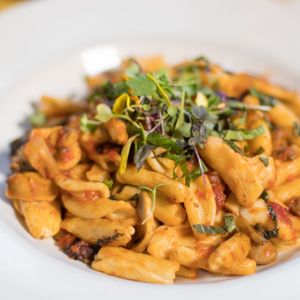 PRINCI ITALIA - 244 Photos & 239 Reviews - Italian - 5959 Royal Ln ...