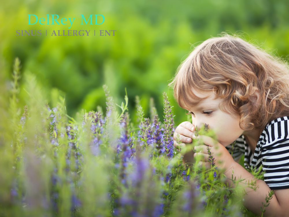 DEL REY MD | SINUS | ALLERGY | ENT - Updated August 2025 - 113 Photos ...