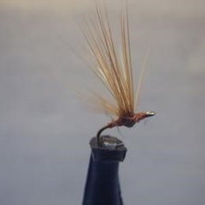 THE YANKEE FLYER - Updated January 2026 - 1 Flyer Row, Bloomfield ...