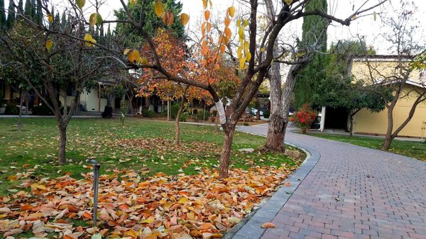 TATHAGATA MEDITATION CENTER - Updated December 2025 - 46 Photos - 1215 ...