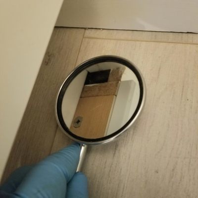 MARINA PEST CONTROL - Updated January 2026 - 22 Photos & 109 Reviews ...