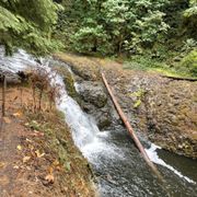 SILVER FALLS STATE PARK - 1338 Photos & 299 Reviews - Parks - 20024 ...