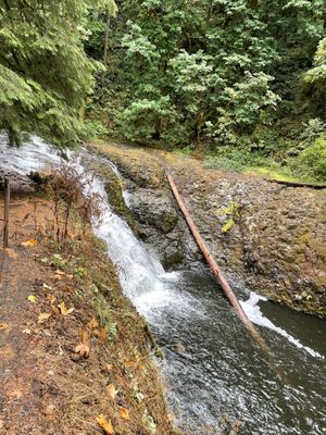 SILVER FALLS STATE PARK - 1472 Photos & 317 Reviews - 20024 Silver ...
